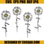 Daisy SVG, Daisy SVG Bundle, Family SVG, Daisy Quote SVG