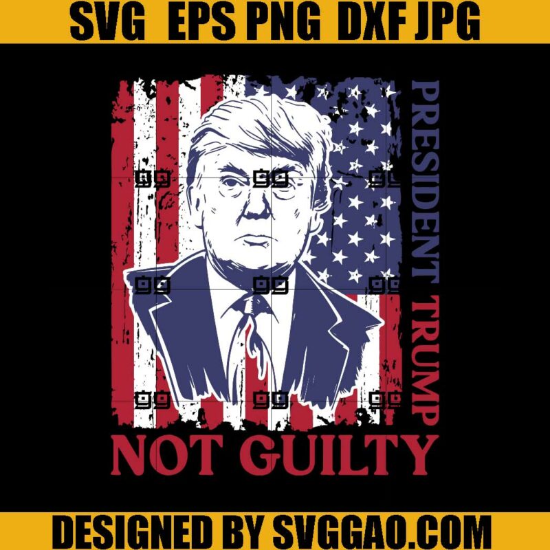 Free Trump SVG, Trump Mugshot SVG, Donald Trump 2023 SVG