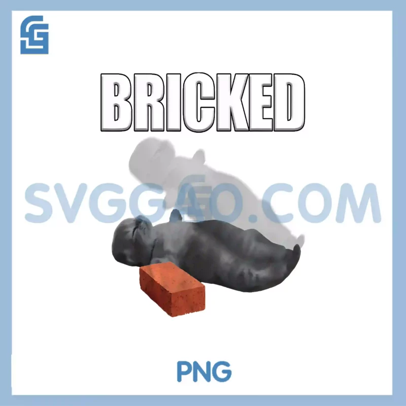 Bricked PNG, Cat Knocked Out Silly Cat Meme Stupid Brainrot PNG
