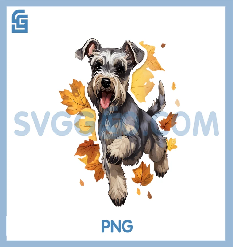 Schnauzer Fall PNG, Schnauzer PNG
