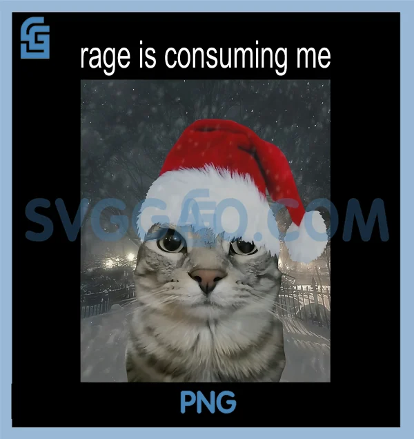 Rage Consumes Me PNG, Funny Christmas Cat Meme PNG