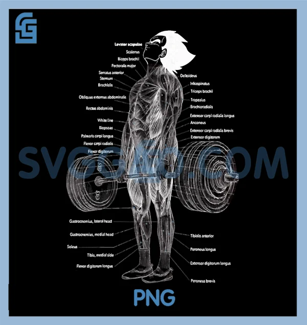 Anime Muscle Anatomy Chart PNG, Gym and Workout Motivation PNG – SVGGAO