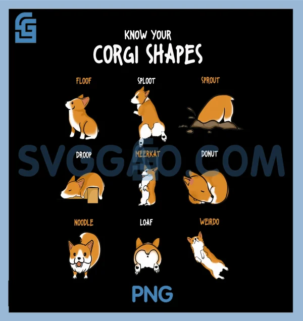 Know Your Corgi Shapes PNG, Animal Funny PNG – SVGGAO