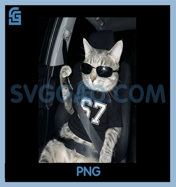 67 Cat Wearing Sunglasses PNG, Gen Alpha Funny PNG, Six Seven 6 7 Meme PNG